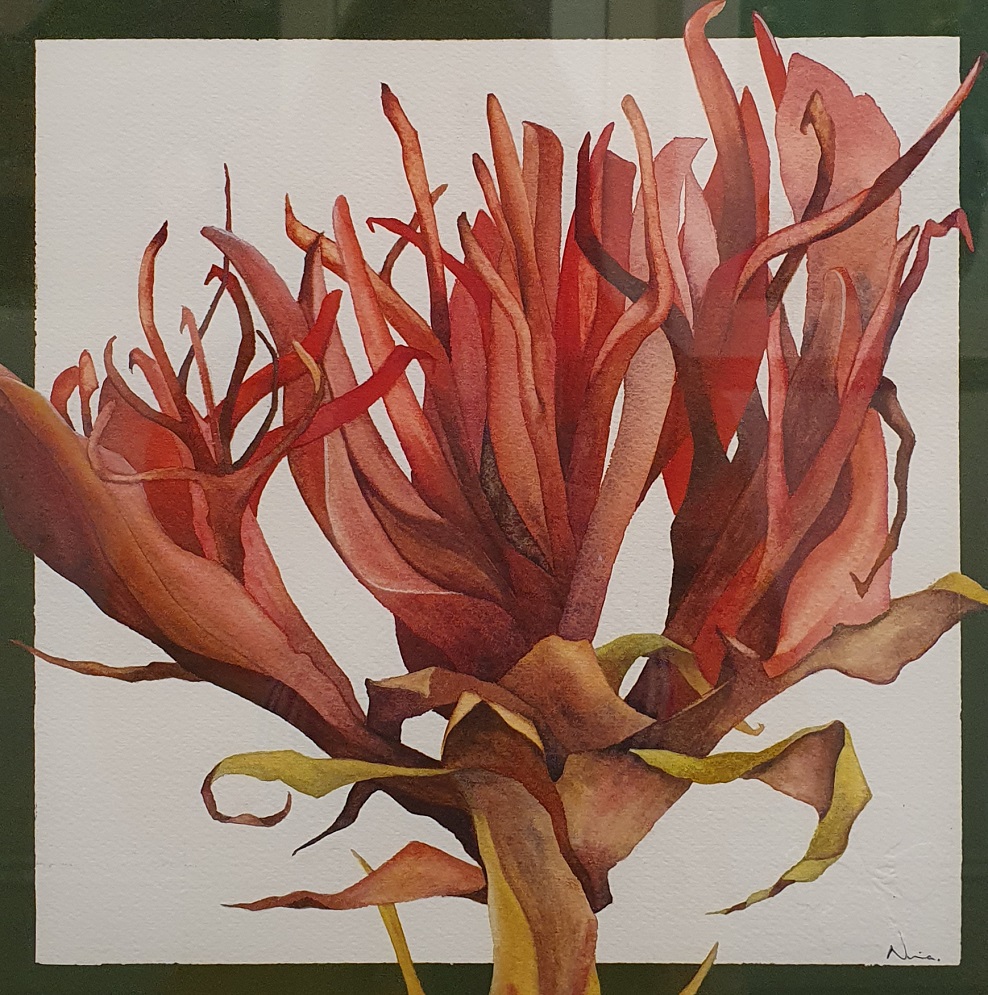 NEWS and other EVENTS - Combined Art Societies of Sydney